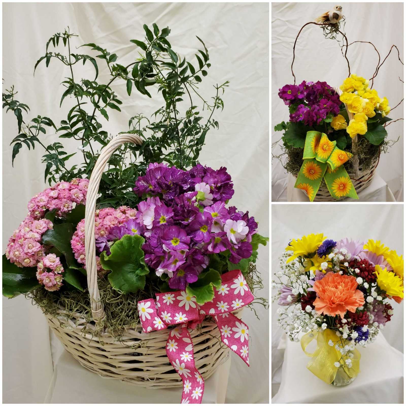 Gallery - Essence of Flowers